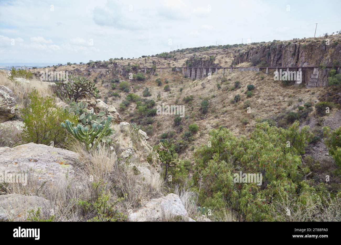 The scenic El Charco del Ingenio Botanical Garden in San Miguel de ...
