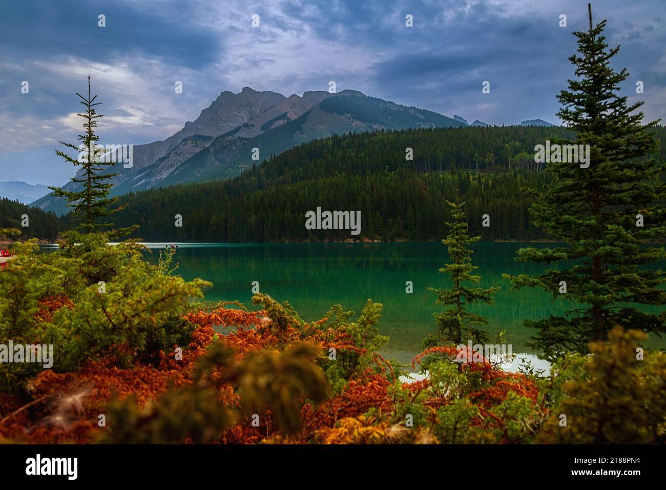 Fall Colours In Banff National Park Stock Photo - Alamy
