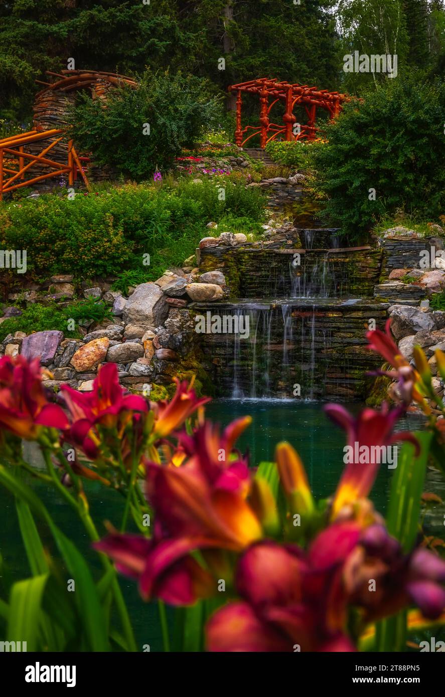 Banff national park flowers hi-res stock photography and images - Alamy