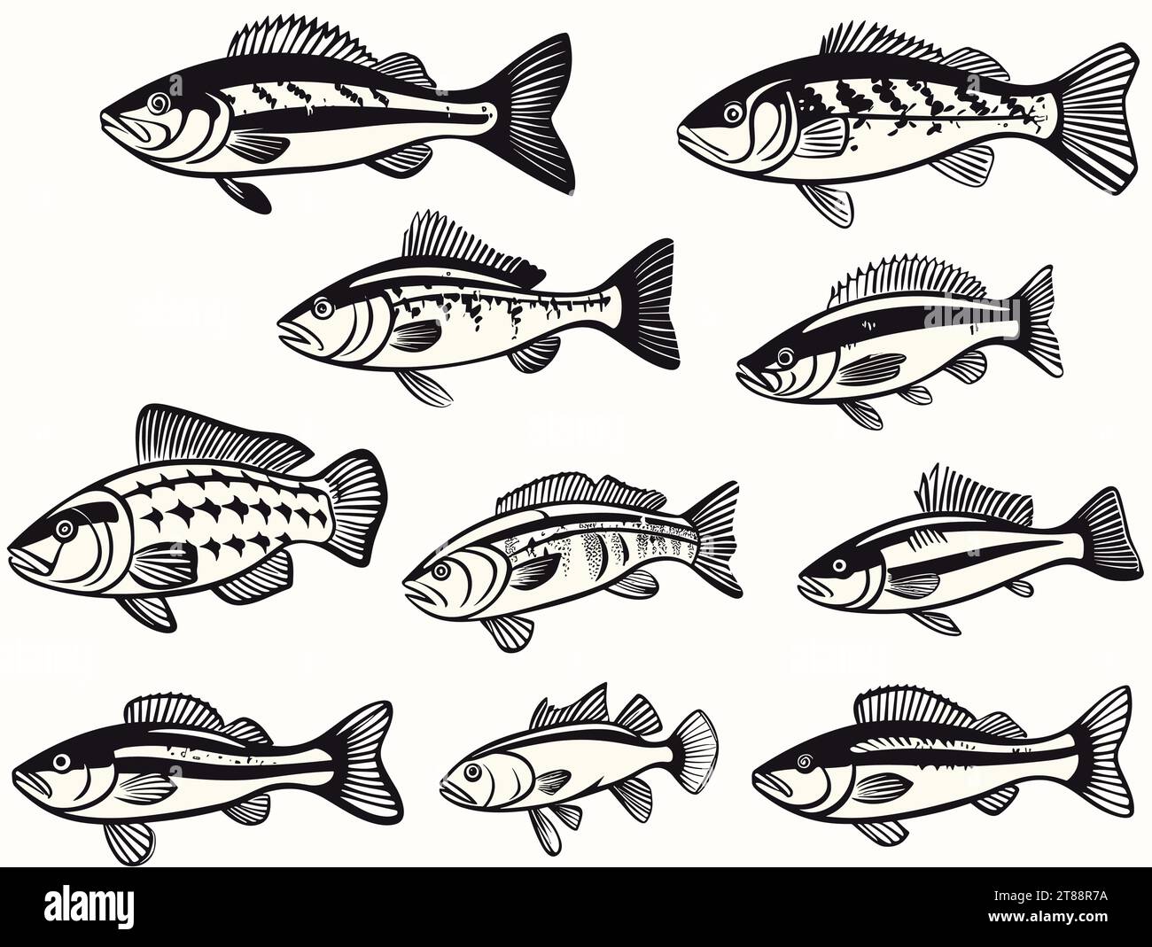A Group Of Fish With Different Shapes - bass fish icons isolated on ...