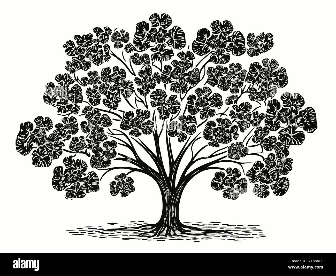 Clover tree hi-res stock photography and images - Alamy