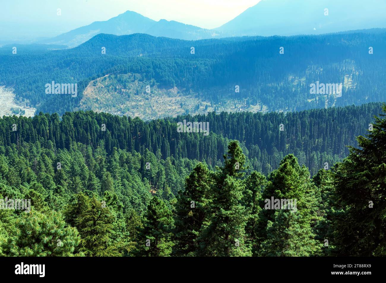 landscape in Gulmarg,Jammu and Kashmir India Stock Photo - Alamy