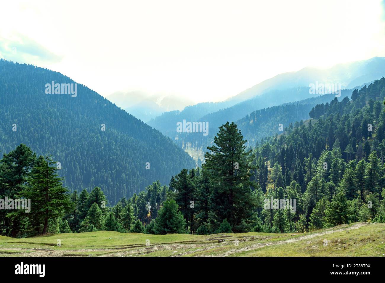 landscape in Gulmarg,Jammu and Kashmir India Stock Photo - Alamy
