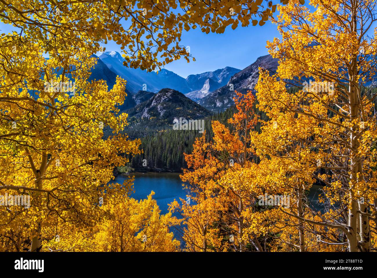 A vignette of colorful quaking aspen trees surrounds Bear Lake and ...