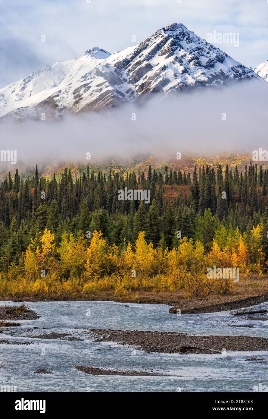 The seasons collide in Denali national park, with fall color, fog and ...