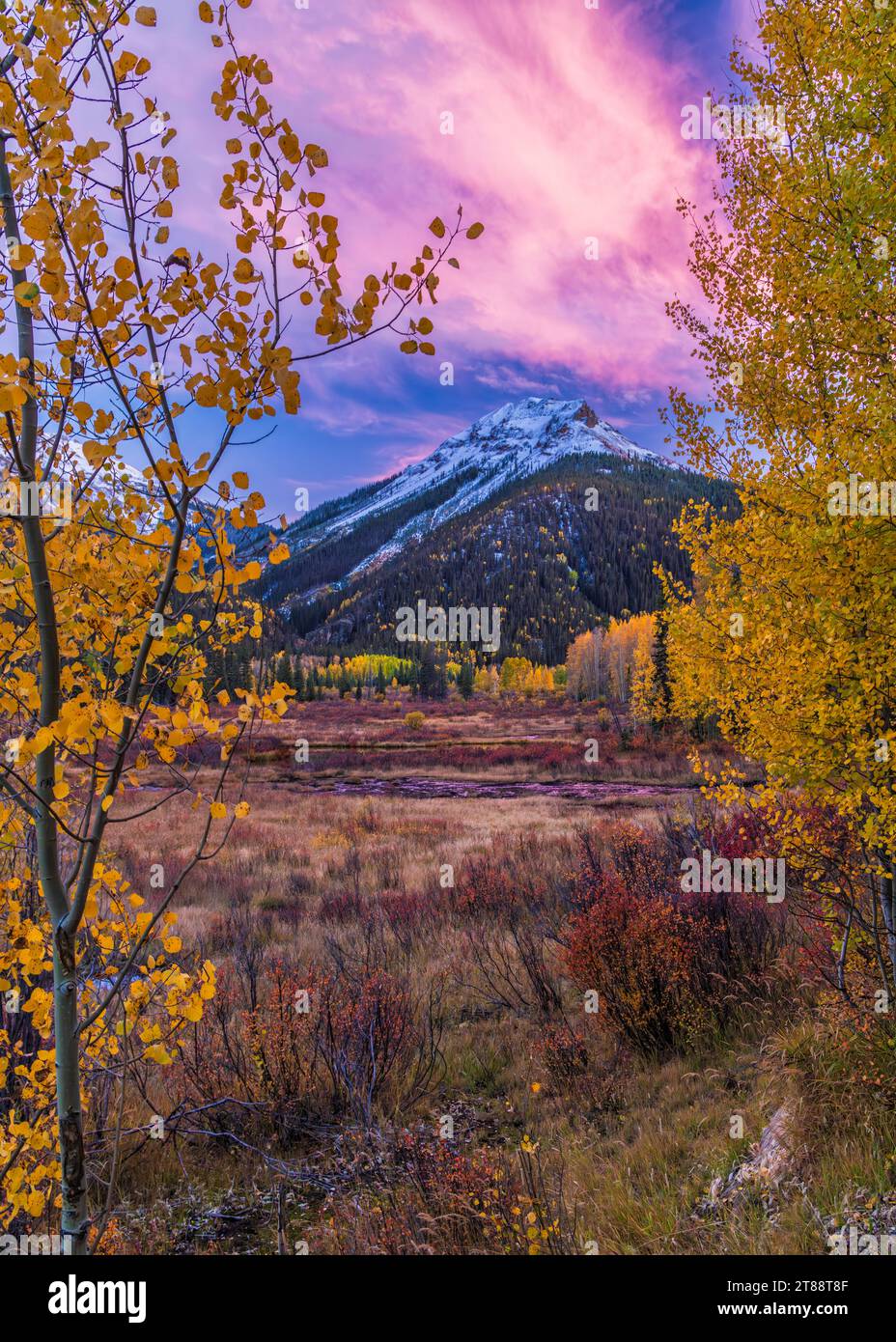 Autumn colored aspens on Brown Mountain reflect in a beaver pond on ...