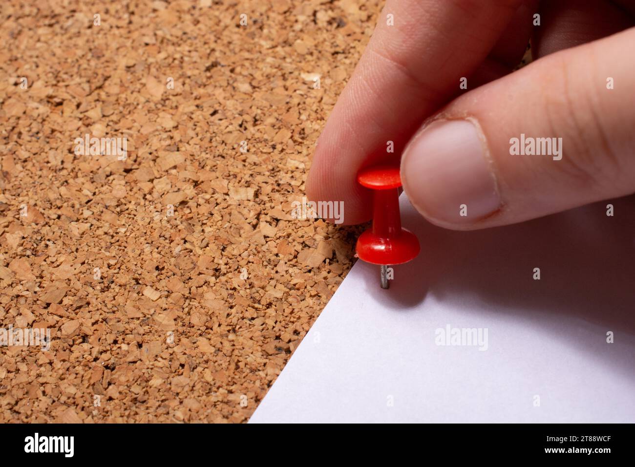 White paper background and pin Stock Photo - Alamy