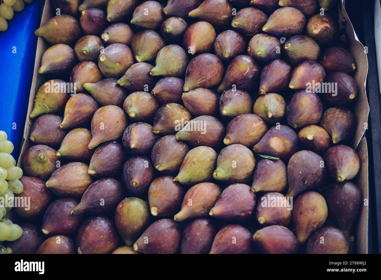 Fig tree ripe fruit hi-res stock photography and images - Alamy