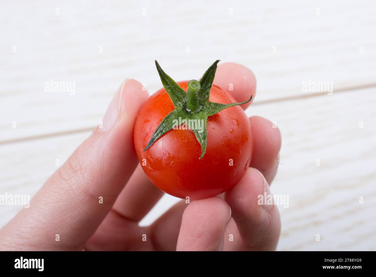 Red tomato in hand hi-res stock photography and images - Alamy
