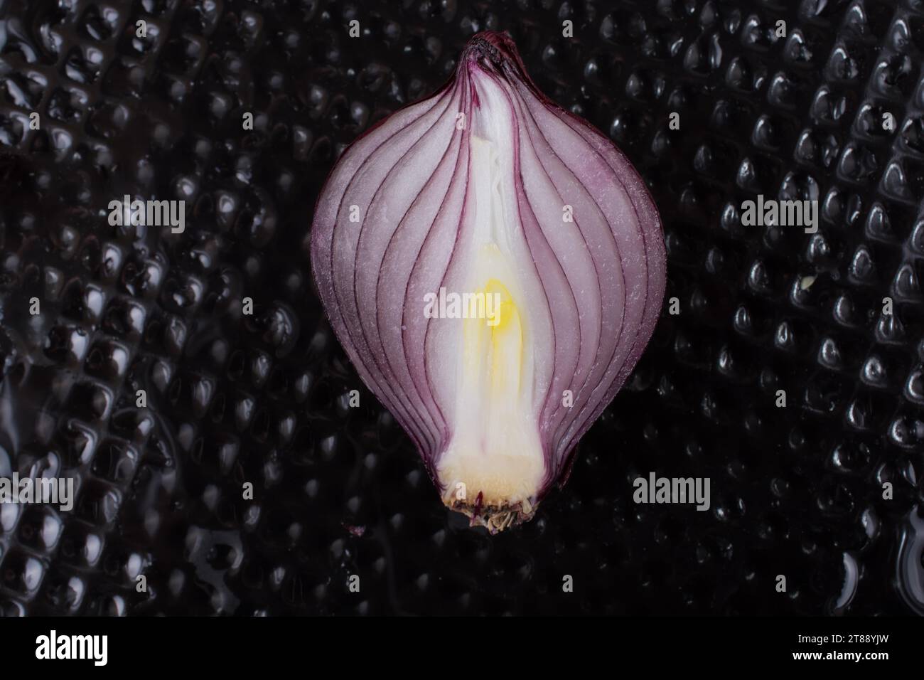 Red onion bulb cut in half on a certain background Stock Photo - Alamy