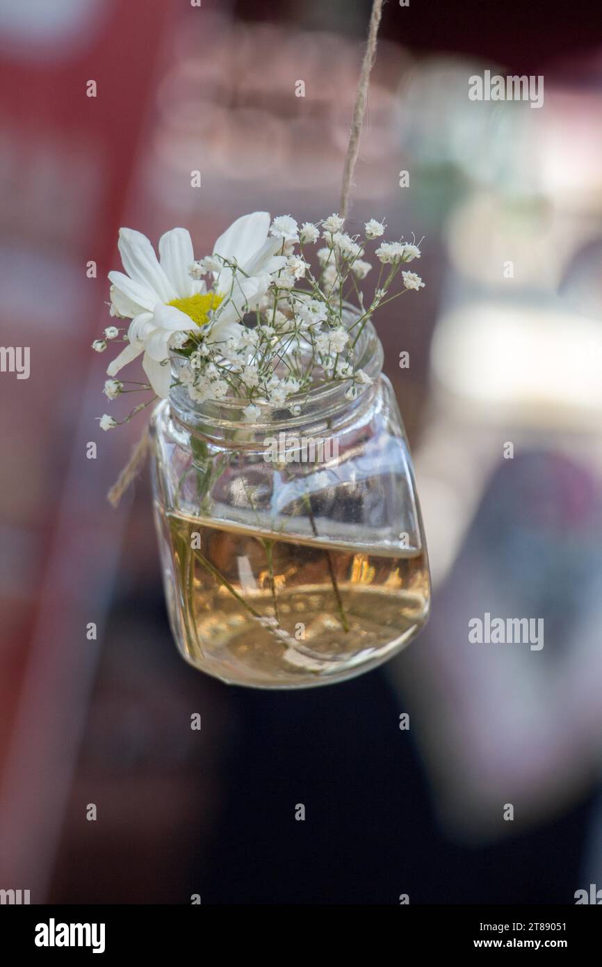 String tea hi-res stock photography and images - Alamy