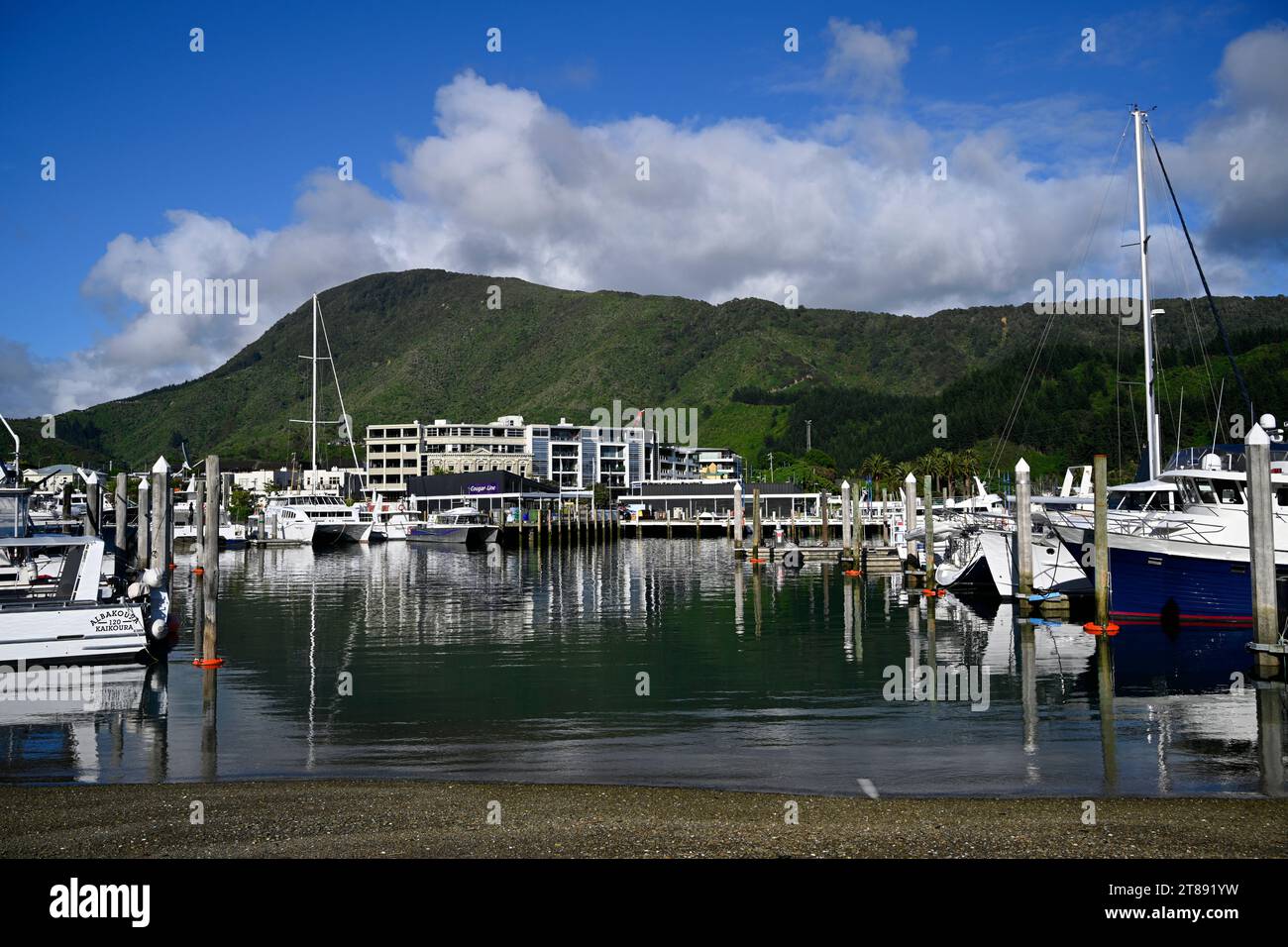 Picton, New Zealand - November 18, 2023; Picton Marina, luxury boats ...