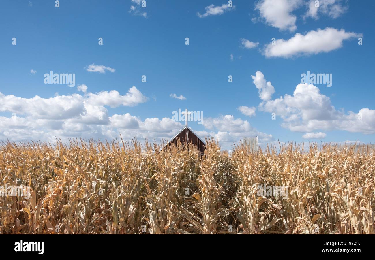 The roof of a church with a white cross on the steeple rises above the ...