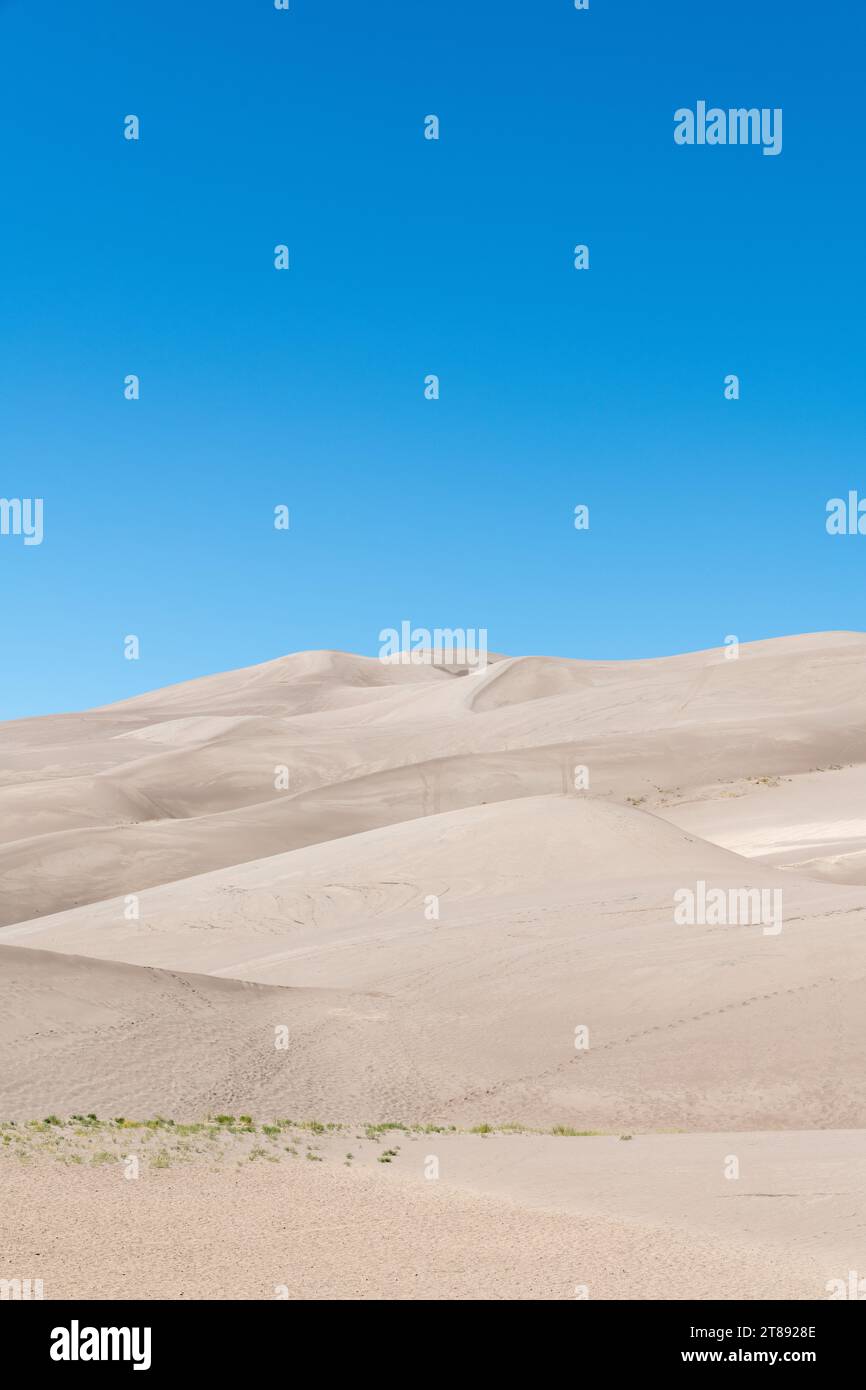 Giant sand dunes under a bright blue sky at Great Sand Dunes National ...