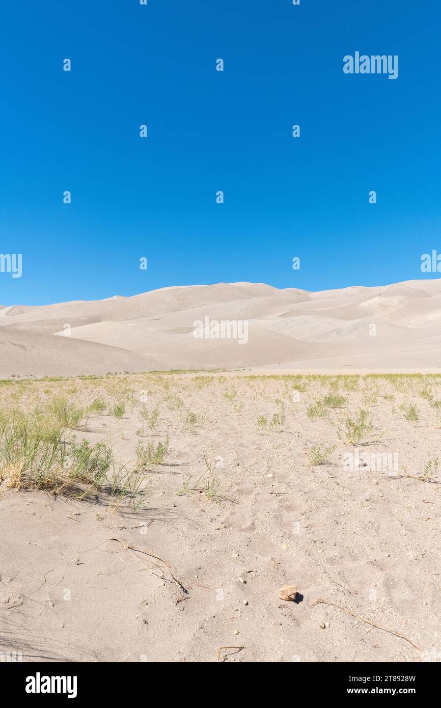 Vertical image of sand dunes under a bright blue sky at Great Sand ...