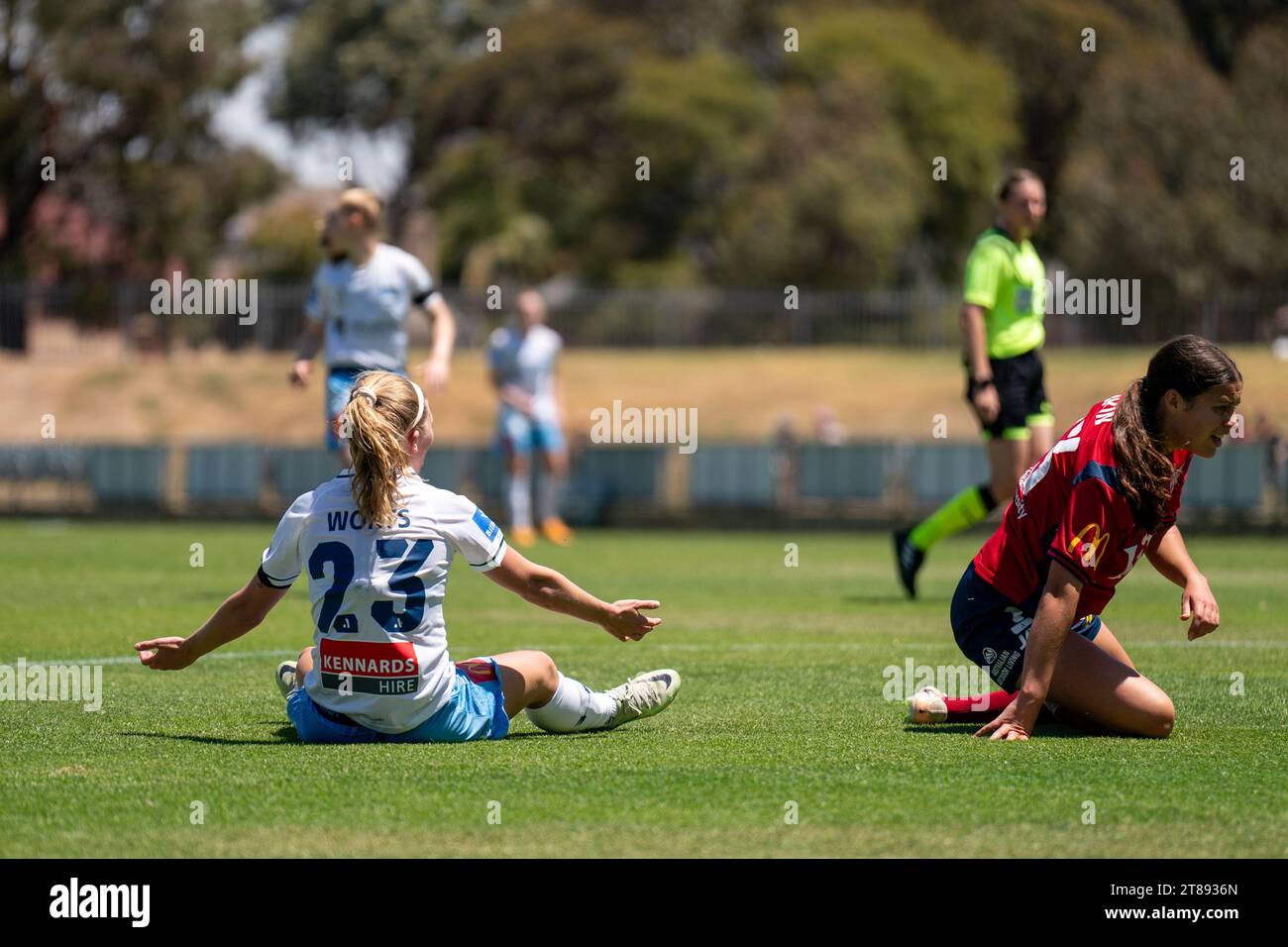 Fiona worts hi-res stock photography and images - Alamy