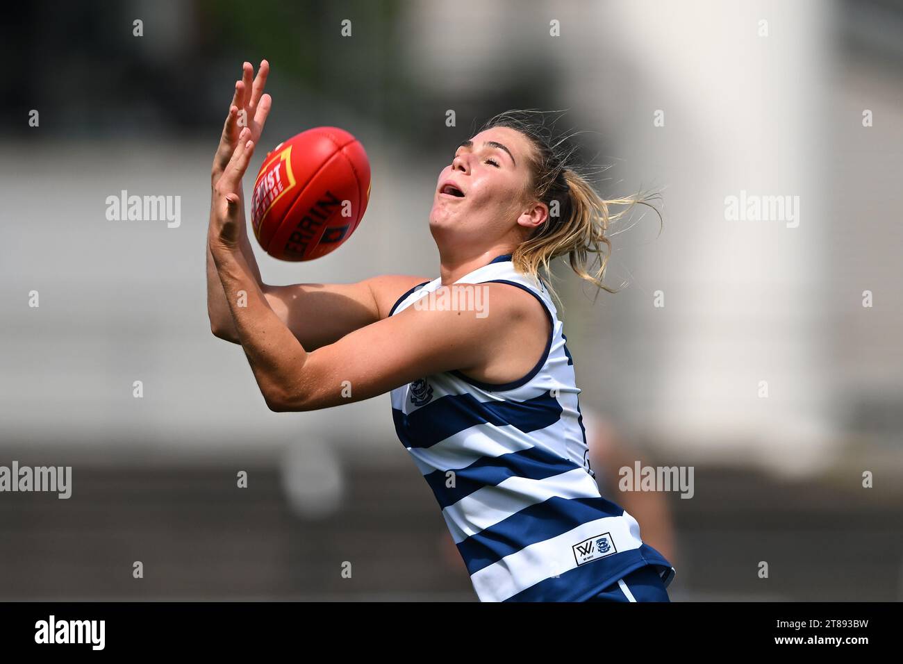Melbourne, Australia. 19th Nov, 2023. Rebecca Webster of Geelong marks ...
