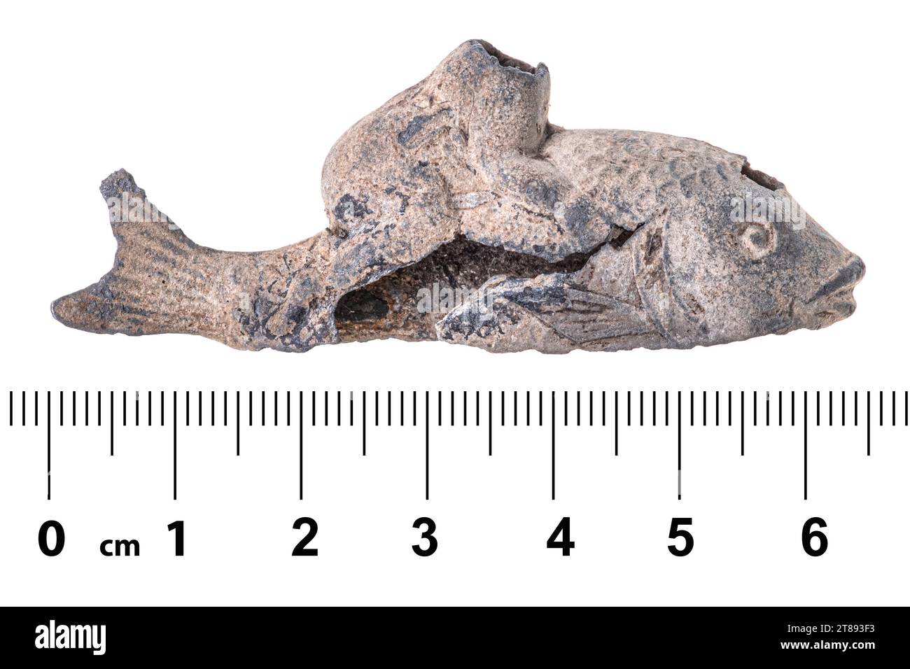 Kid find money Cut Out Stock Images & Pictures - Alamy