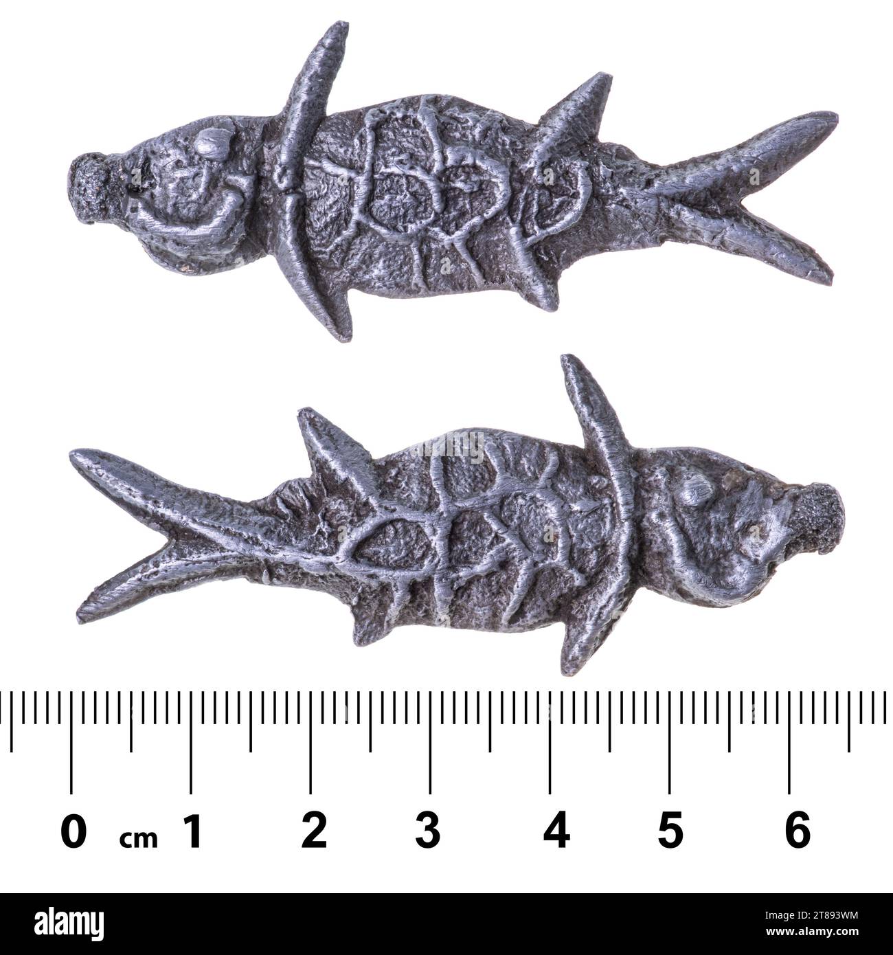 Ancient malaysian fish tin coin. Isolated on white Stock Photo - Alamy