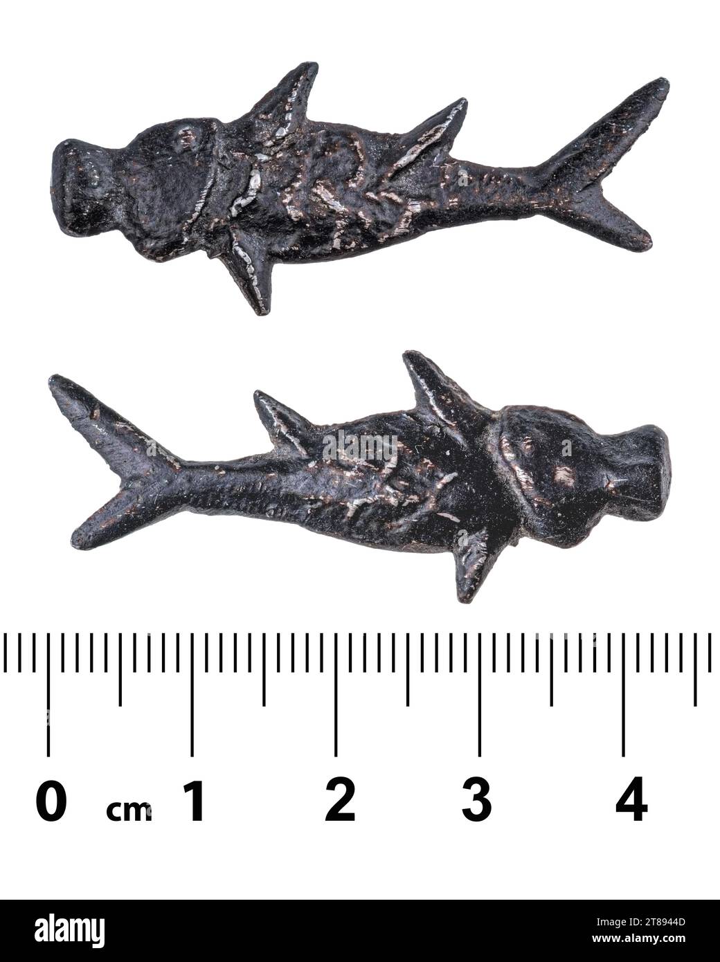 Ancient malaysian fish tin coin. Isolated on white Stock Photo - Alamy