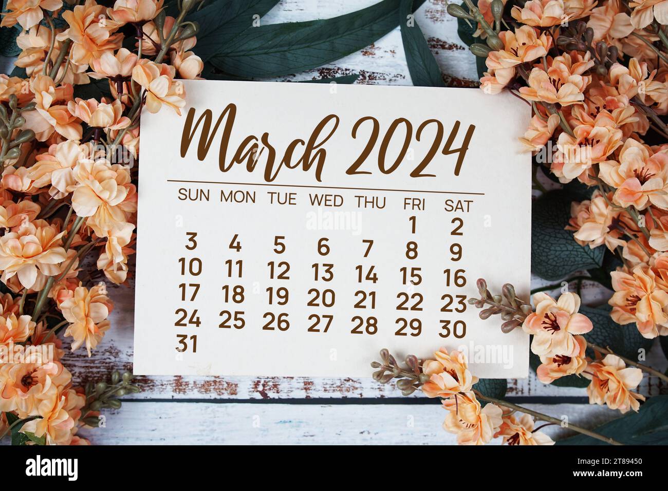 Spring Break 2024 Background