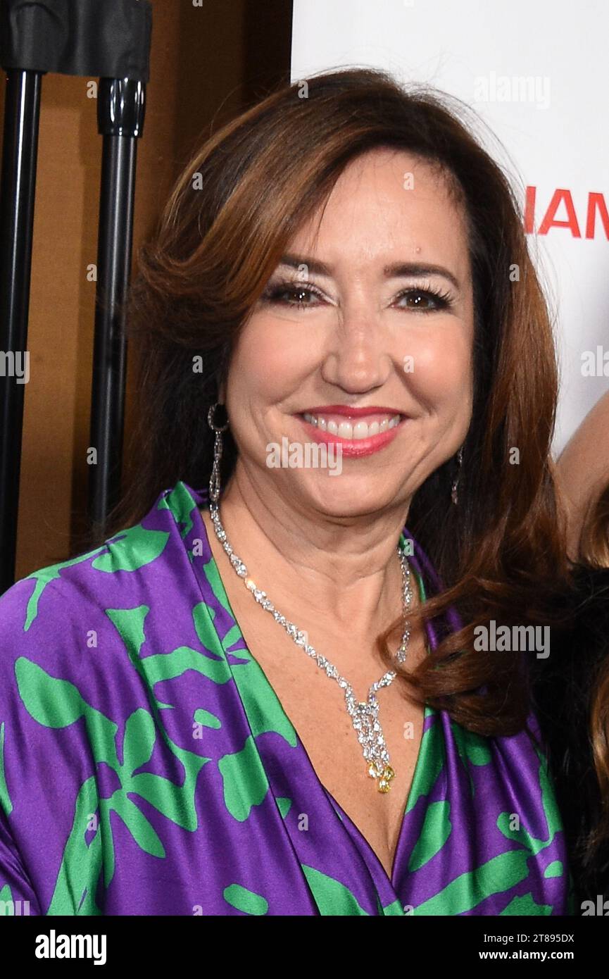 New York, NY, USA. 18th Nov, 2023. Christine Duffy at New York Moves ...