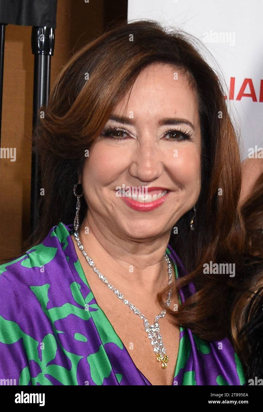 New York, NY, USA. 18th Nov, 2023. Christine Duffy at New York Moves ...