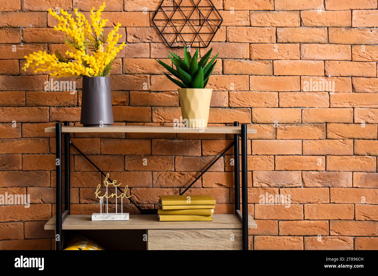 Shelving unit with different houseplants and books near brown brick ...