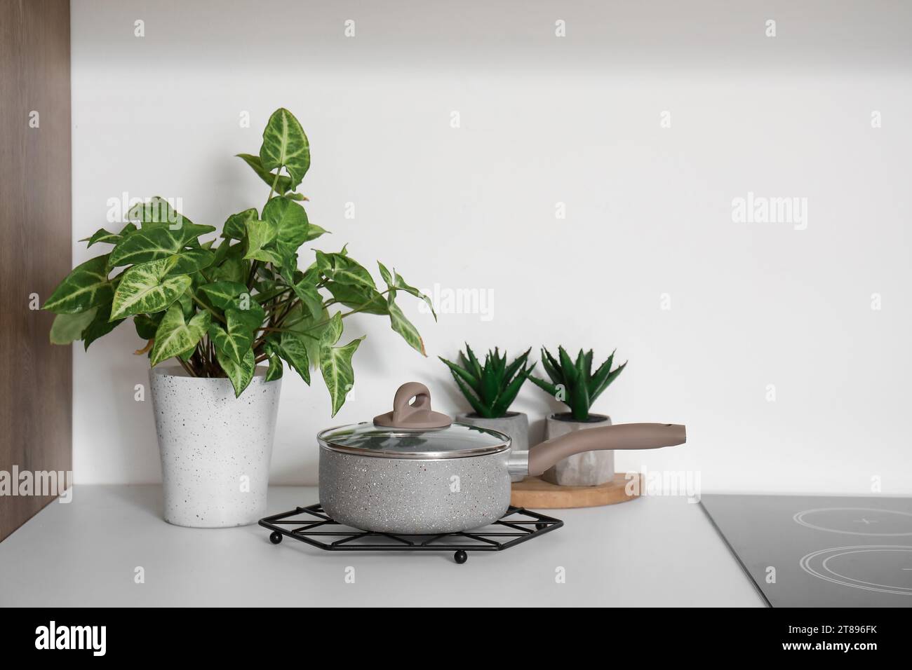 cooking pot and houseplants on white counter in kitchen Stock Photo - Alamy