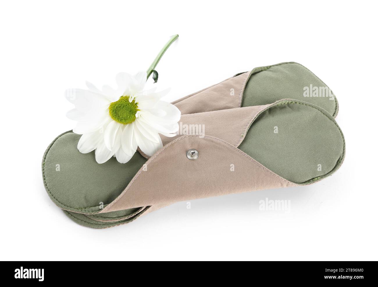 Reusable menstrual pads and chamomile flower on white background Stock ...