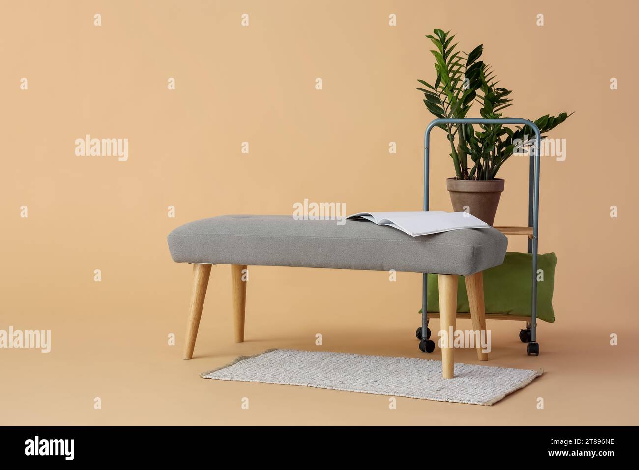 Grey bench with open book and houseplant on beige background Stock ...