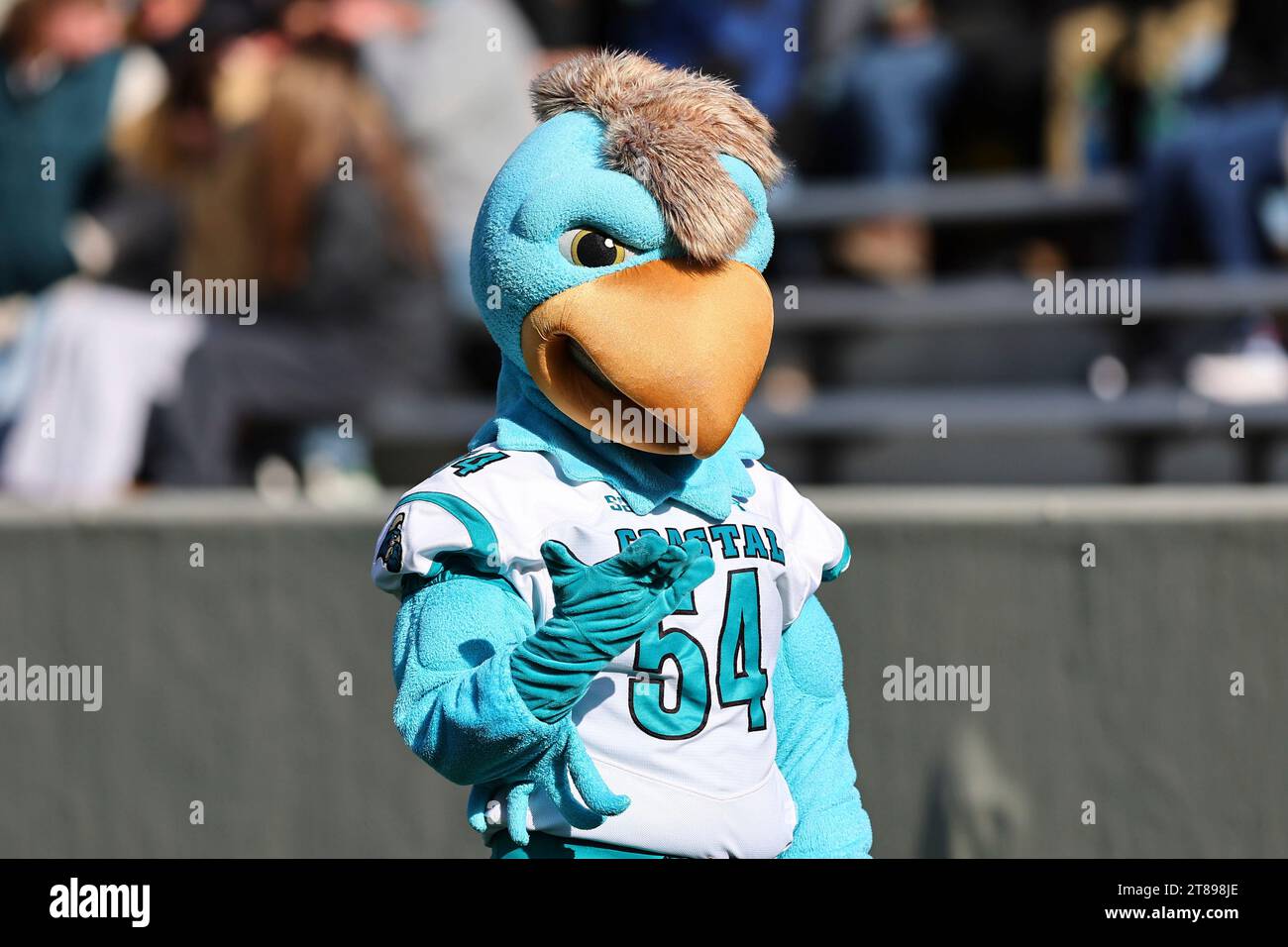 WEST POINT, NY - NOVEMBER 18: The Coastal Carolina Chanticleers mascot ...
