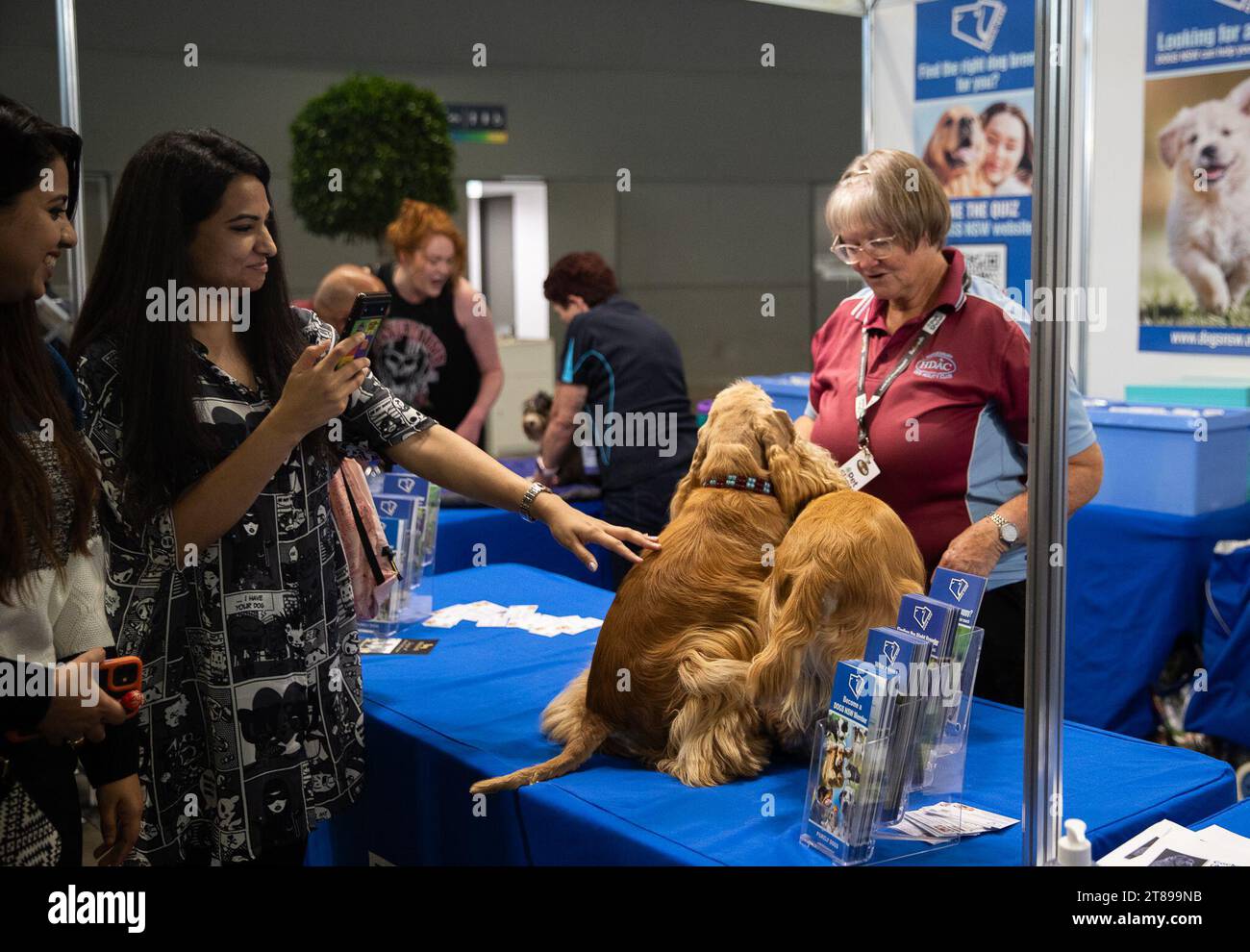 Sydney, Australia. 18th Nov, 2023. People interact with dogs at the Pet ...