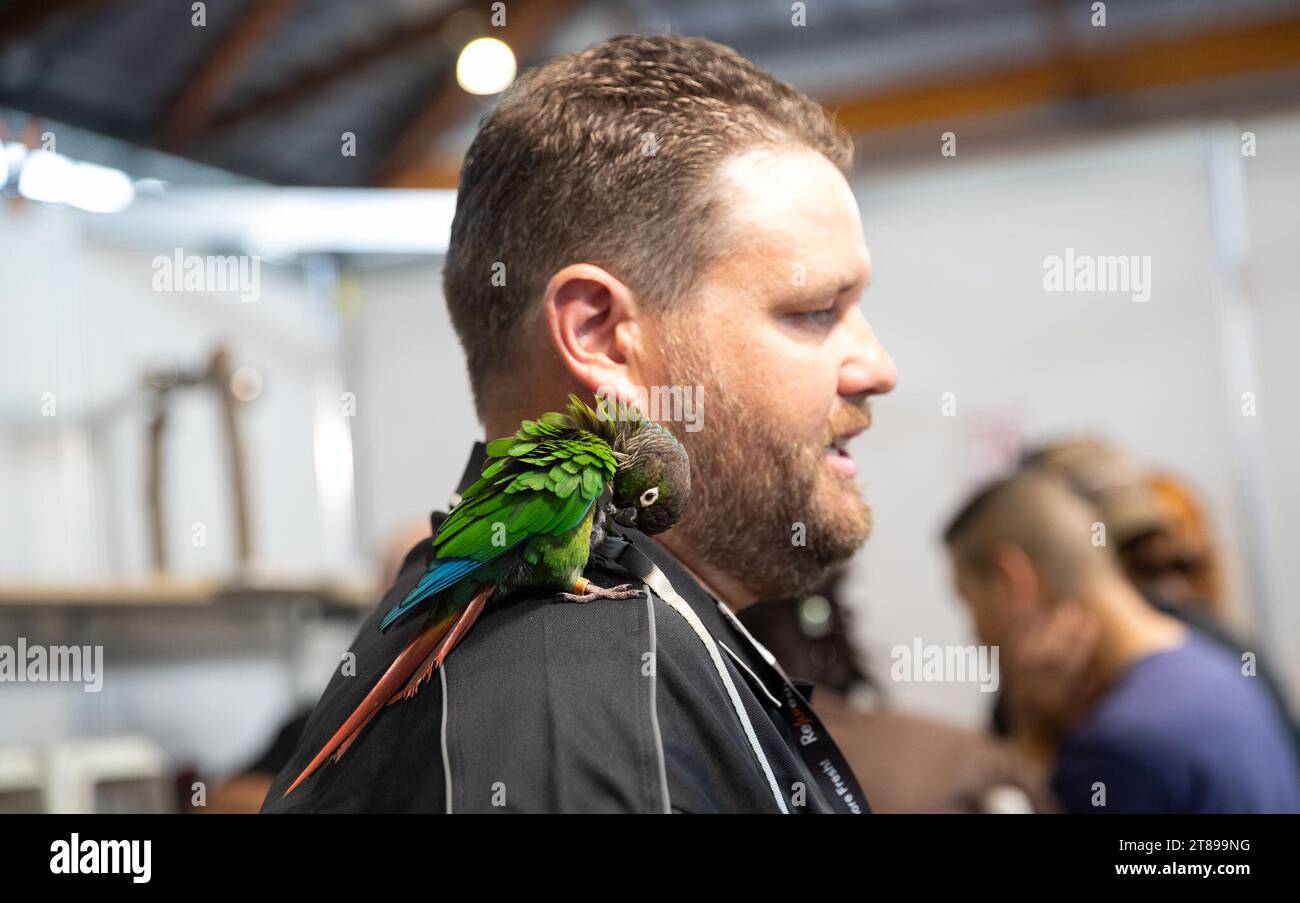 Sydney, Australia. 18th Nov, 2023. A parrot is seen at the Pet Show in ...