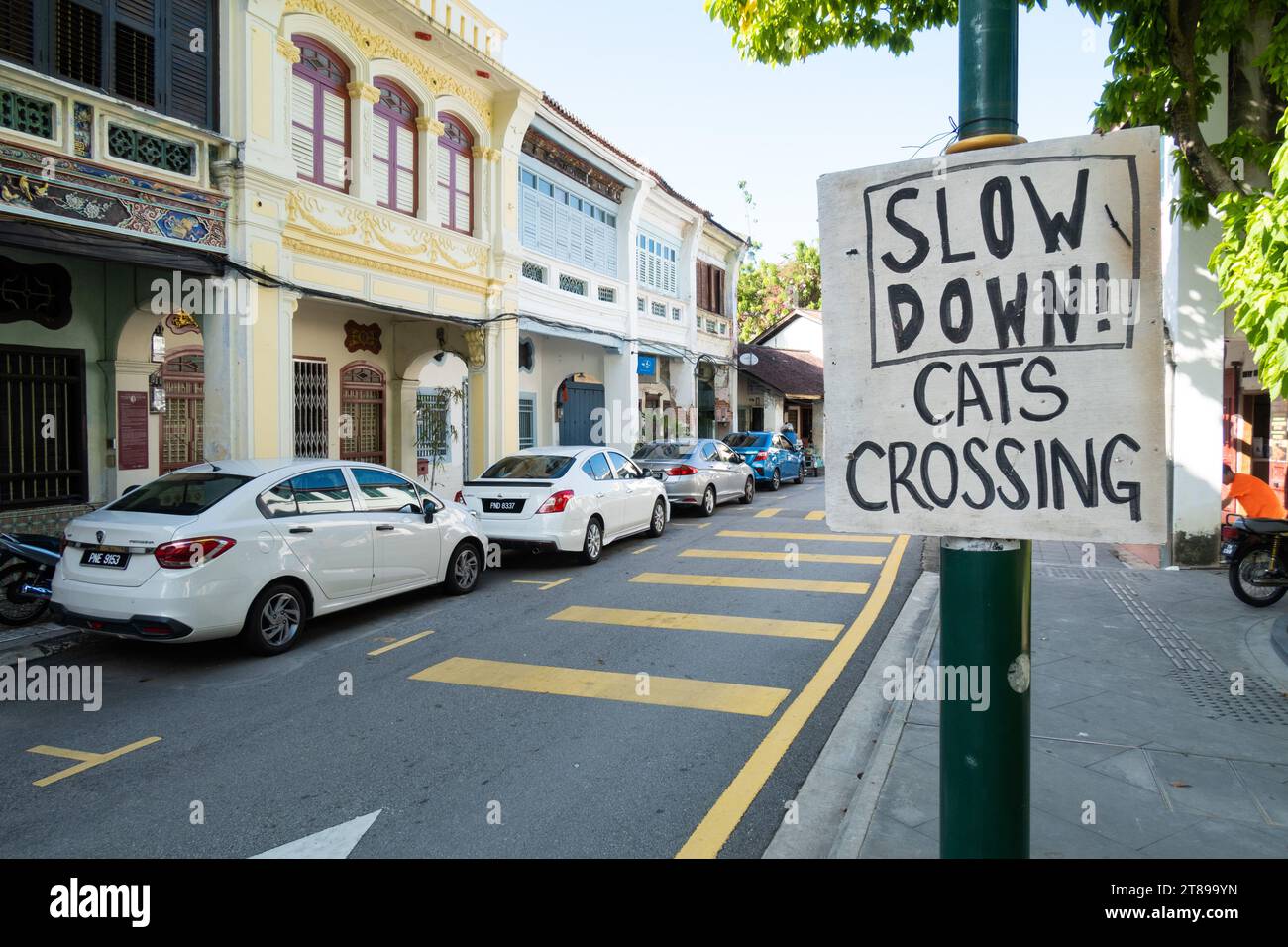 Slow cats crossing hi-res stock photography and images - Alamy