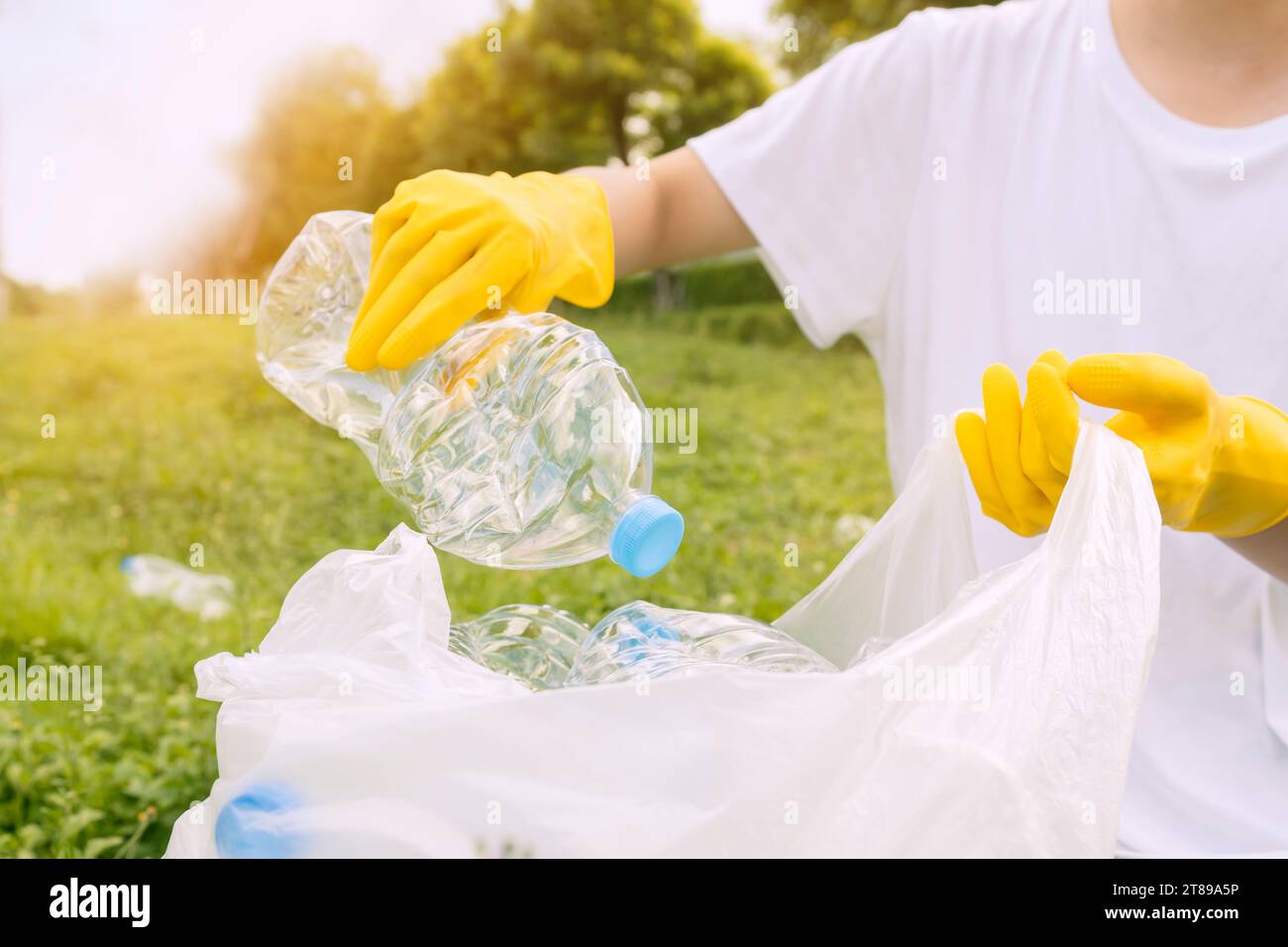 Volunteer teenage boys are holding garbage bags and Collecting plastic ...
