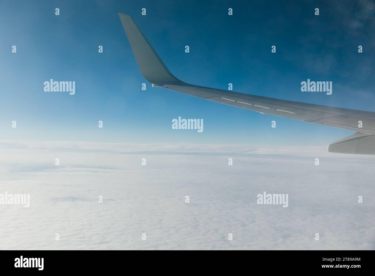 wing airplane in the sky flight travel air travel Stock Photo - Alamy