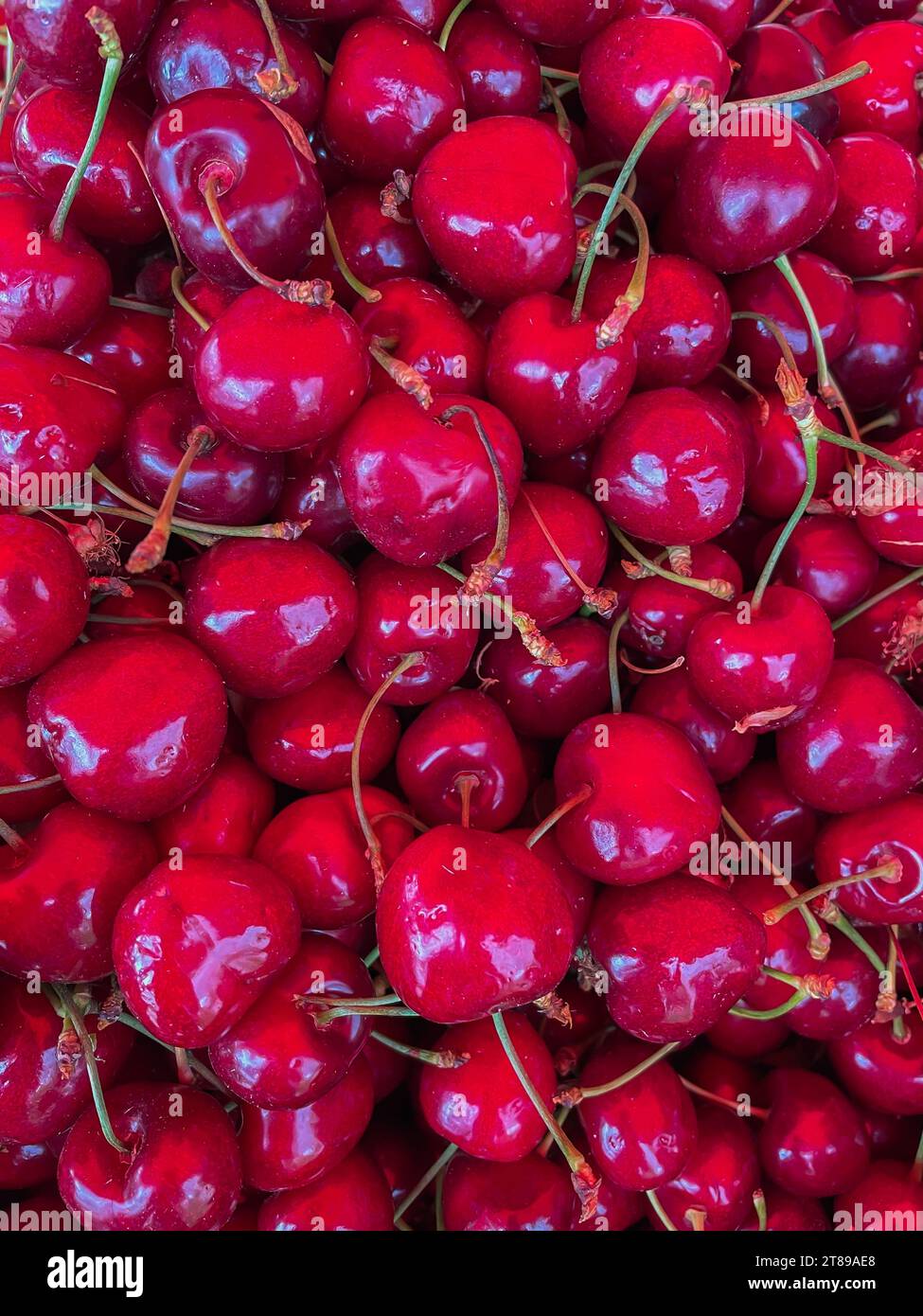 lots of red ripe cherries vitamins delicious food healthy food as ...