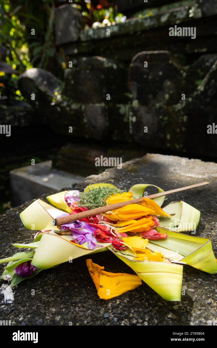 Traditional Balinese offering at a temple, Bali, Indonesia Stock Photo ...