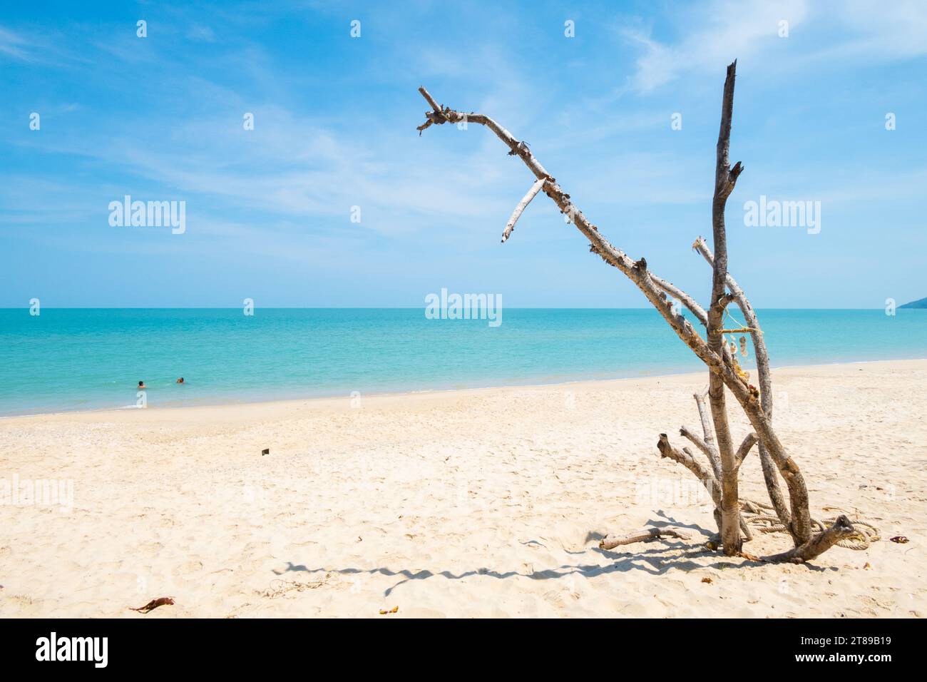 Wooden sticks and artwork on beach in Thailand Stock Photo - Alamy
