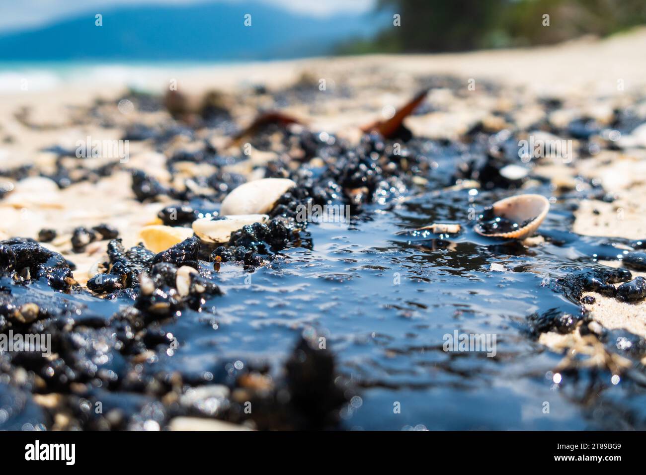 Oil spill washed up on beach in Thailand Stock Photo - Alamy