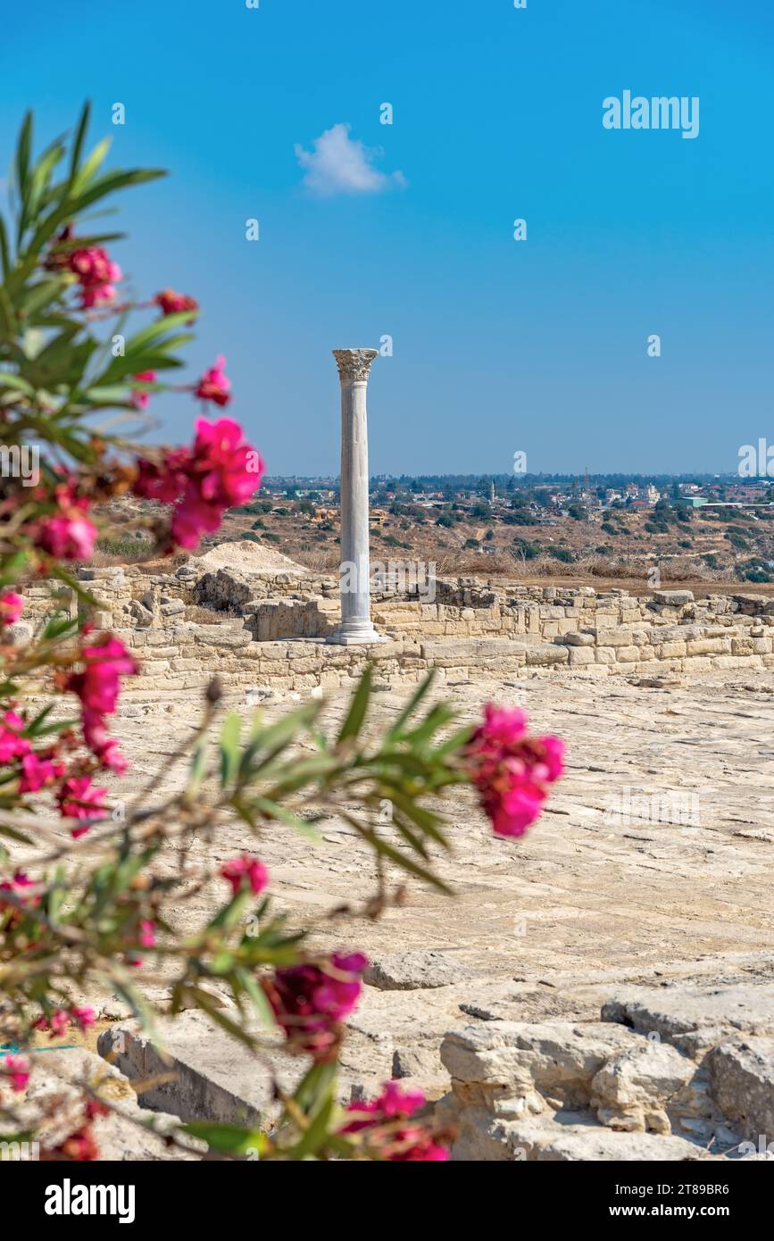 The ruins of the ancient Greek city Kourion and an old column with pink ...
