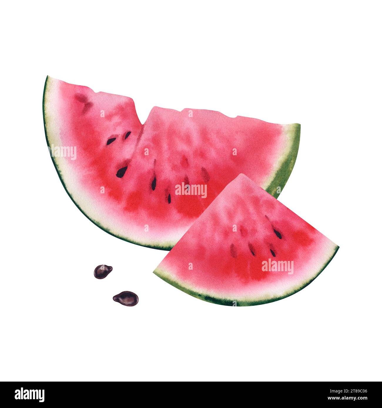 Watermelon. Watercolor illustration. Juicy tropical fruit cut into ...