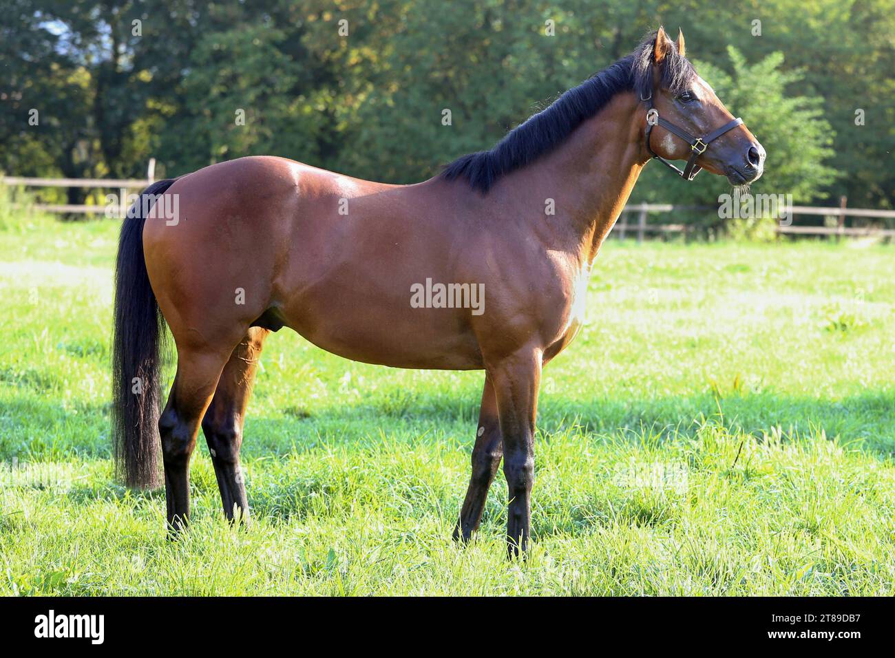 Stands jpg hi-res stock photography and images - Alamy