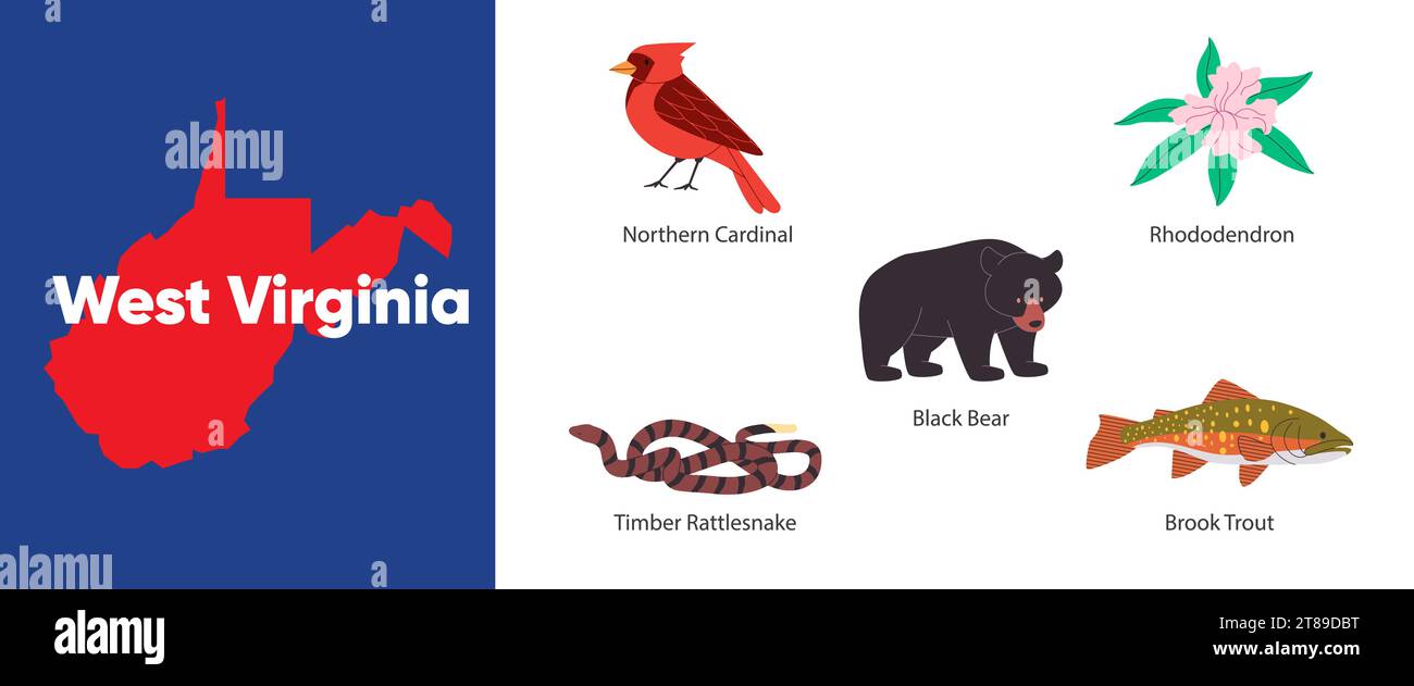 West Virginia states of symbol object timber rattlesnake rhododendron ...