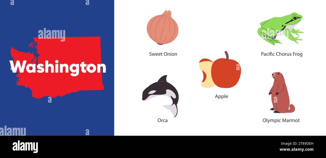 Washington states of symbol object river toad frog olympic marmot orca ...