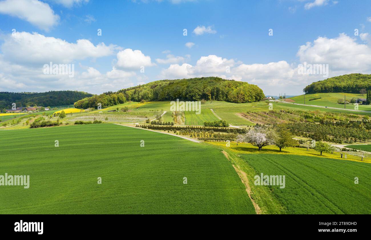 Aerial View of farming land with crop field, pasture and orchard after ...