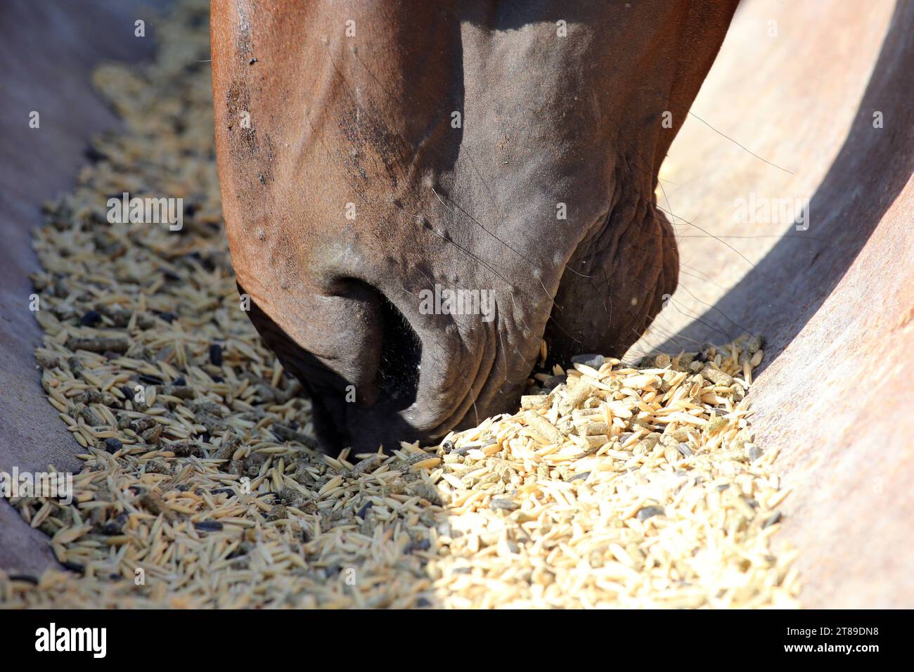 Pferdefutter hi-res stock photography and images - Alamy