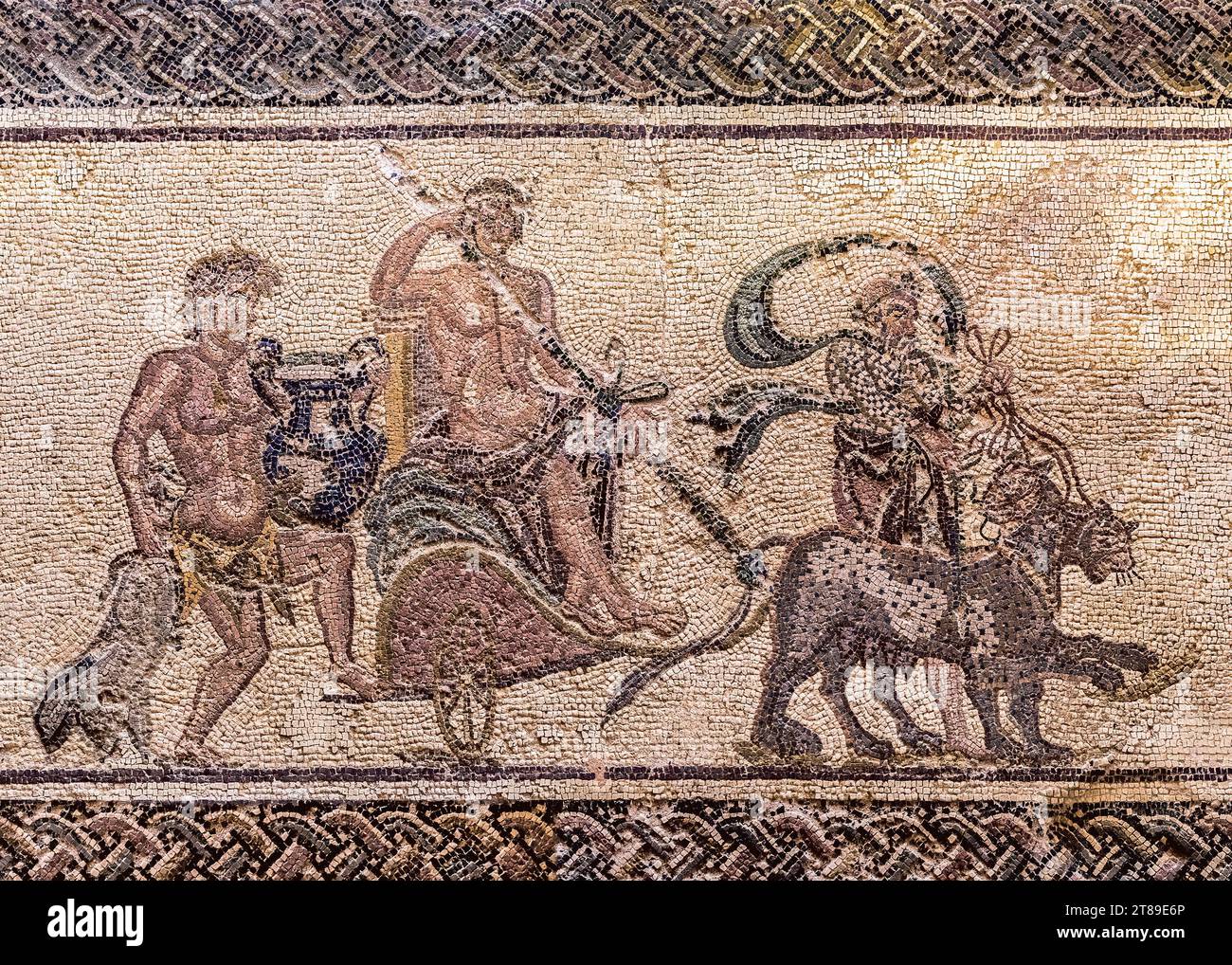 The scene of the triumph of Dionysus on an antique mosaic from the ...