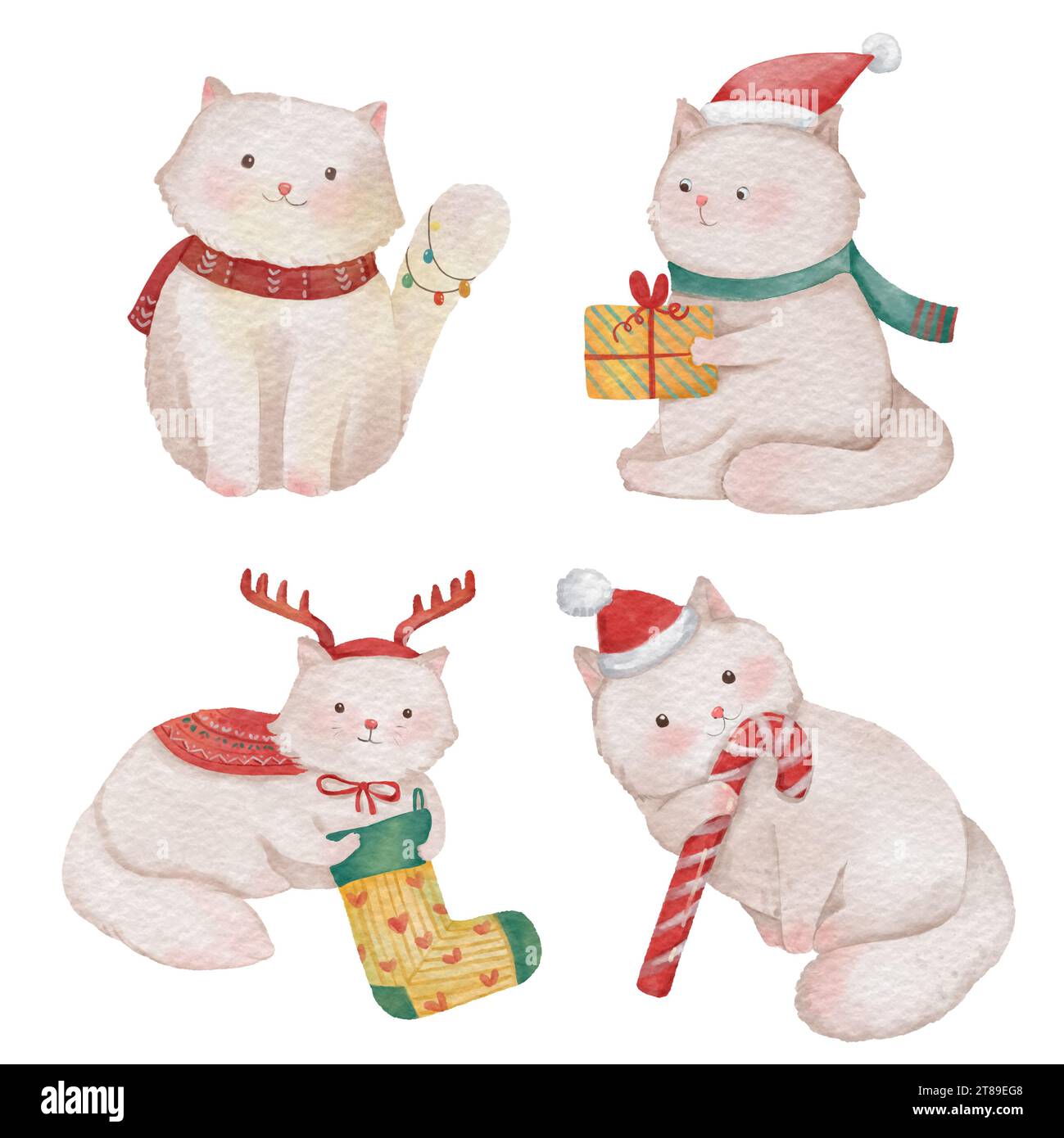 Cat . Christmas theme . Watercolor paint cartoon characters . Isolated ...